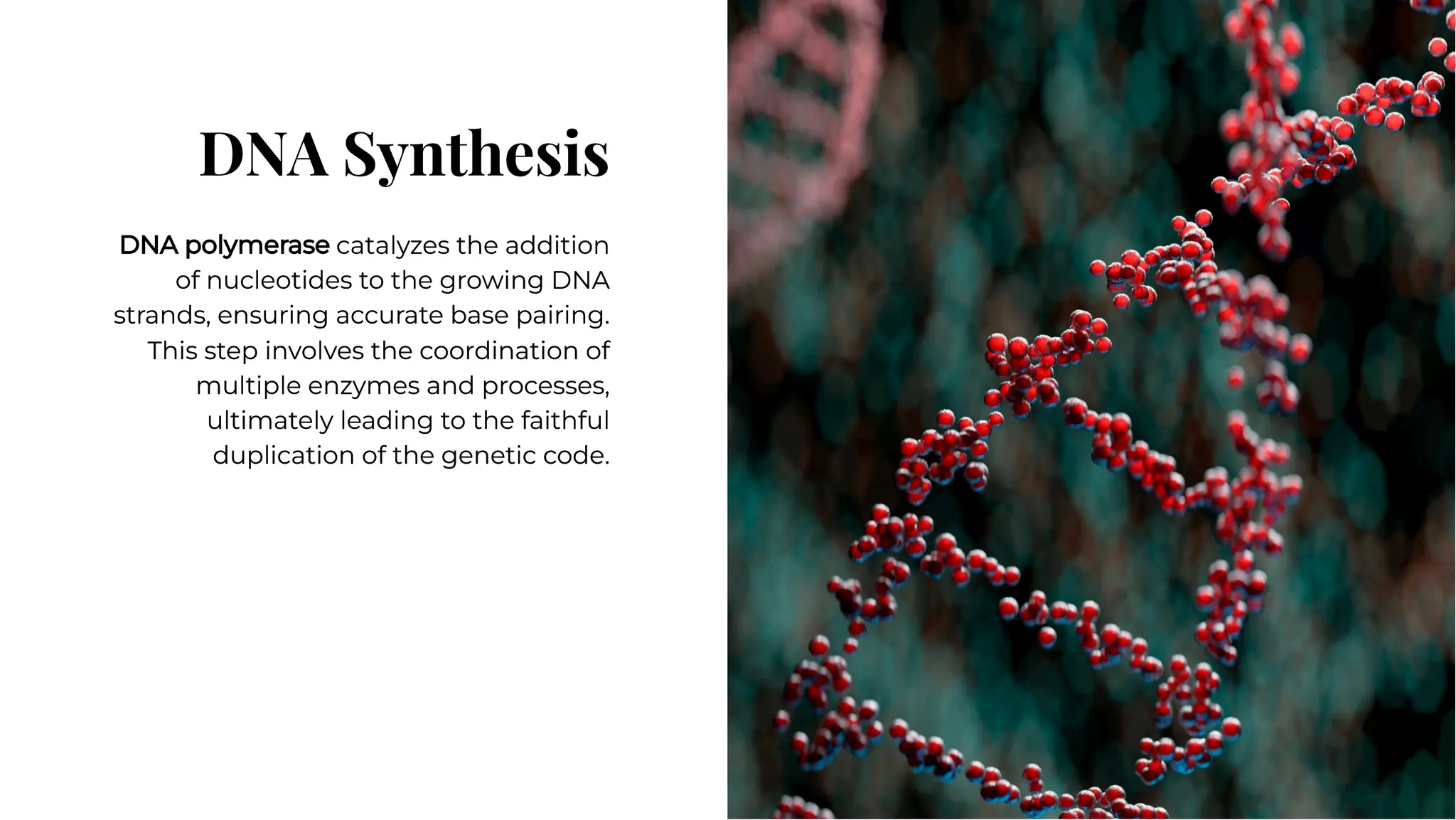 wepik-unraveling-the-code-a-comprehensive-overview-of-dna-replication-20240306100332WZ9u.pdf