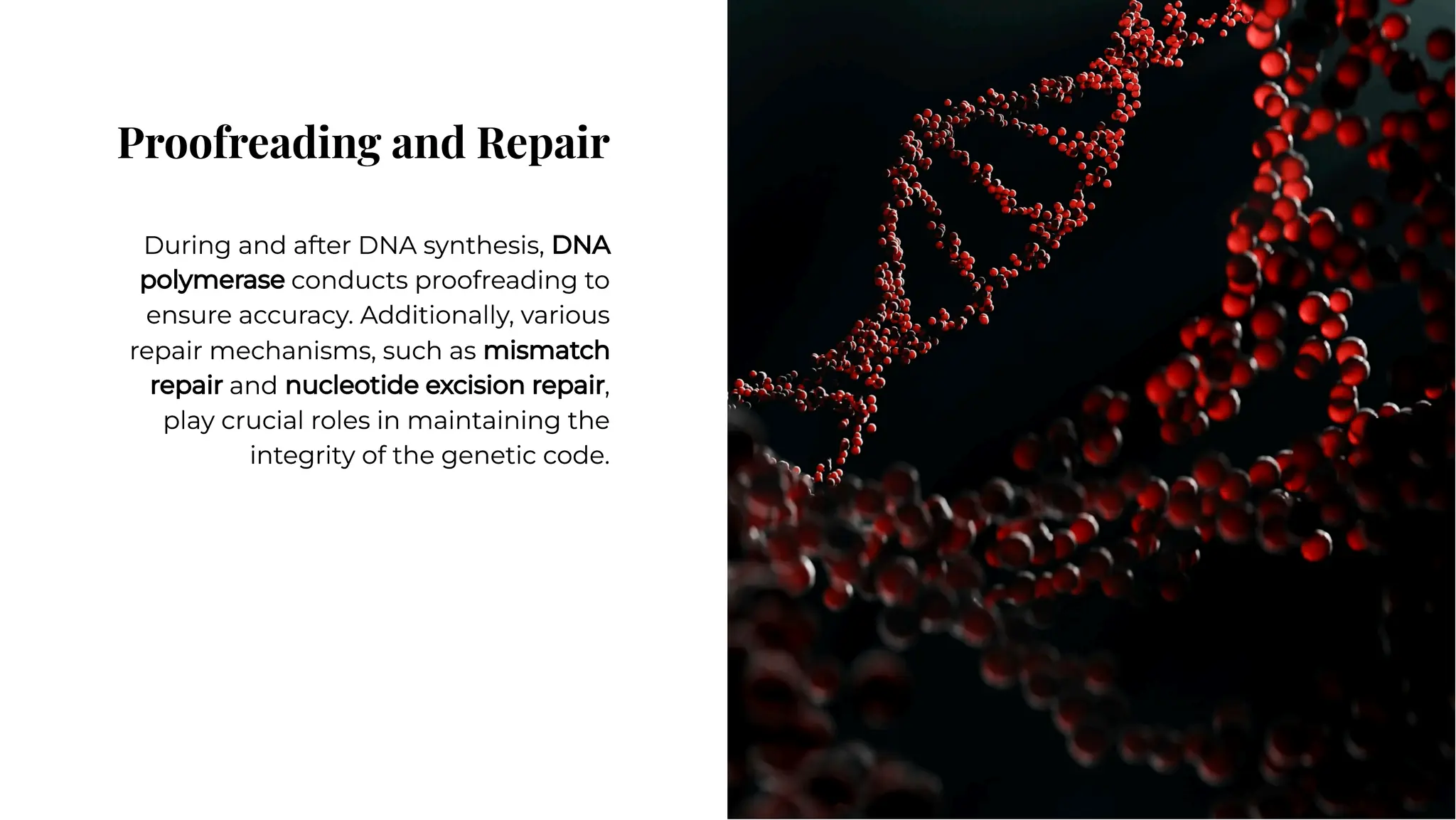 wepik-unraveling-the-code-a-comprehensive-overview-of-dna-replication-20240306100332WZ9u.pdf