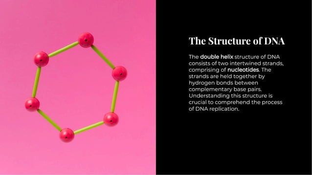 wepik-unraveling-the-code-a-comprehensive-overview-of-dna-replication-20240306100332WZ9u.pdf