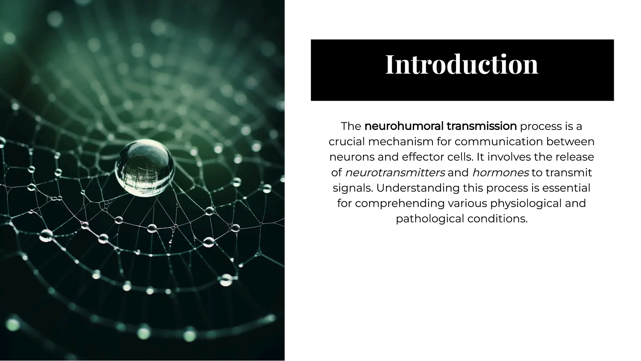 wepik-unraveling-the-neurohumoral-transmission-process-20240408093127qiQR.pdf
