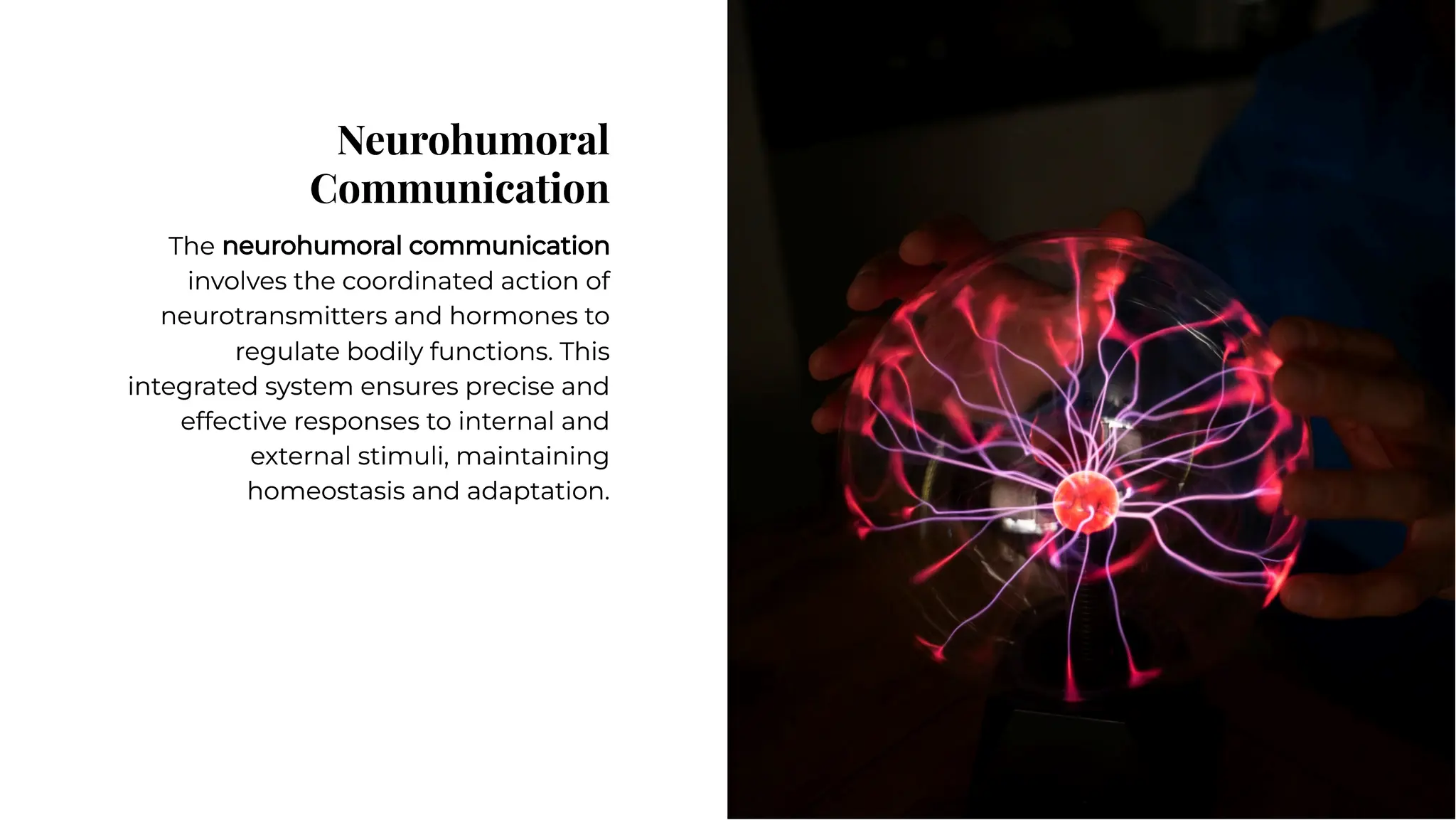 wepik-unraveling-the-neurohumoral-transmission-process ...