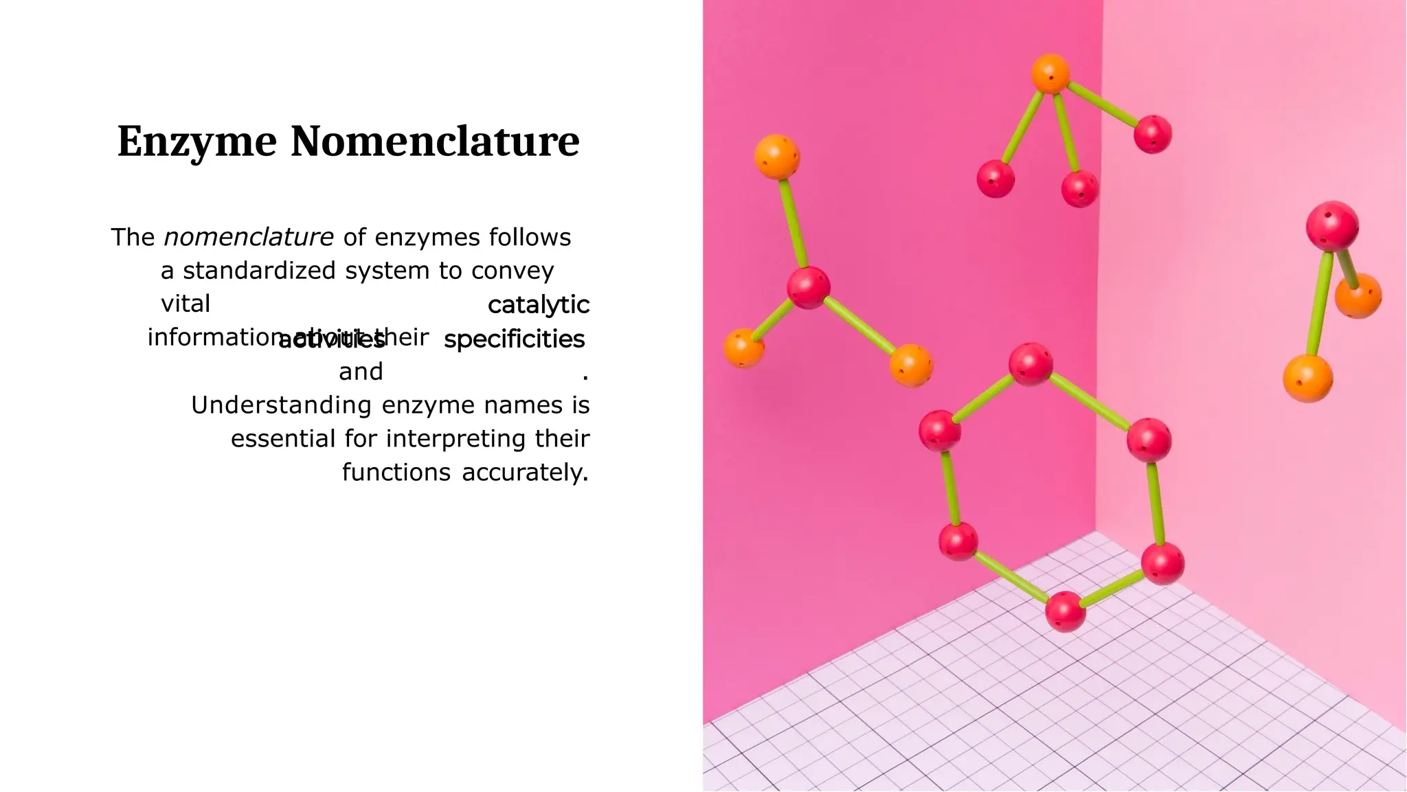 wepik-unveiling-the-iub-classification-of-enzymes-an-overview-of ...