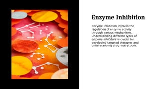 wepik-unveiling-the-iub-classification-of-enzymes-an-overview-of ...