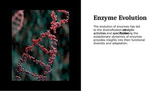 wepik-unveiling-the-iub-classification-of-enzymes-an-overview-of ...