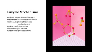 wepik-unveiling-the-iub-classification-of-enzymes-an-overview-of ...