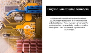 wepik-unveiling-the-iub-classification-of-enzymes-an-overview-of-properties-and-nomenclature ...