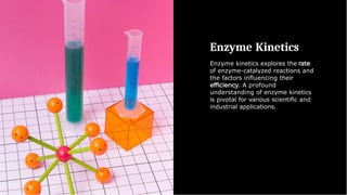 wepik-unveiling-the-iub-classification-of-enzymes-an-overview-of ...