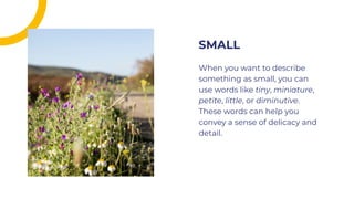 wepik_expanding_your_vocabulary_a_comprehensive_list_of_adjective.pdf