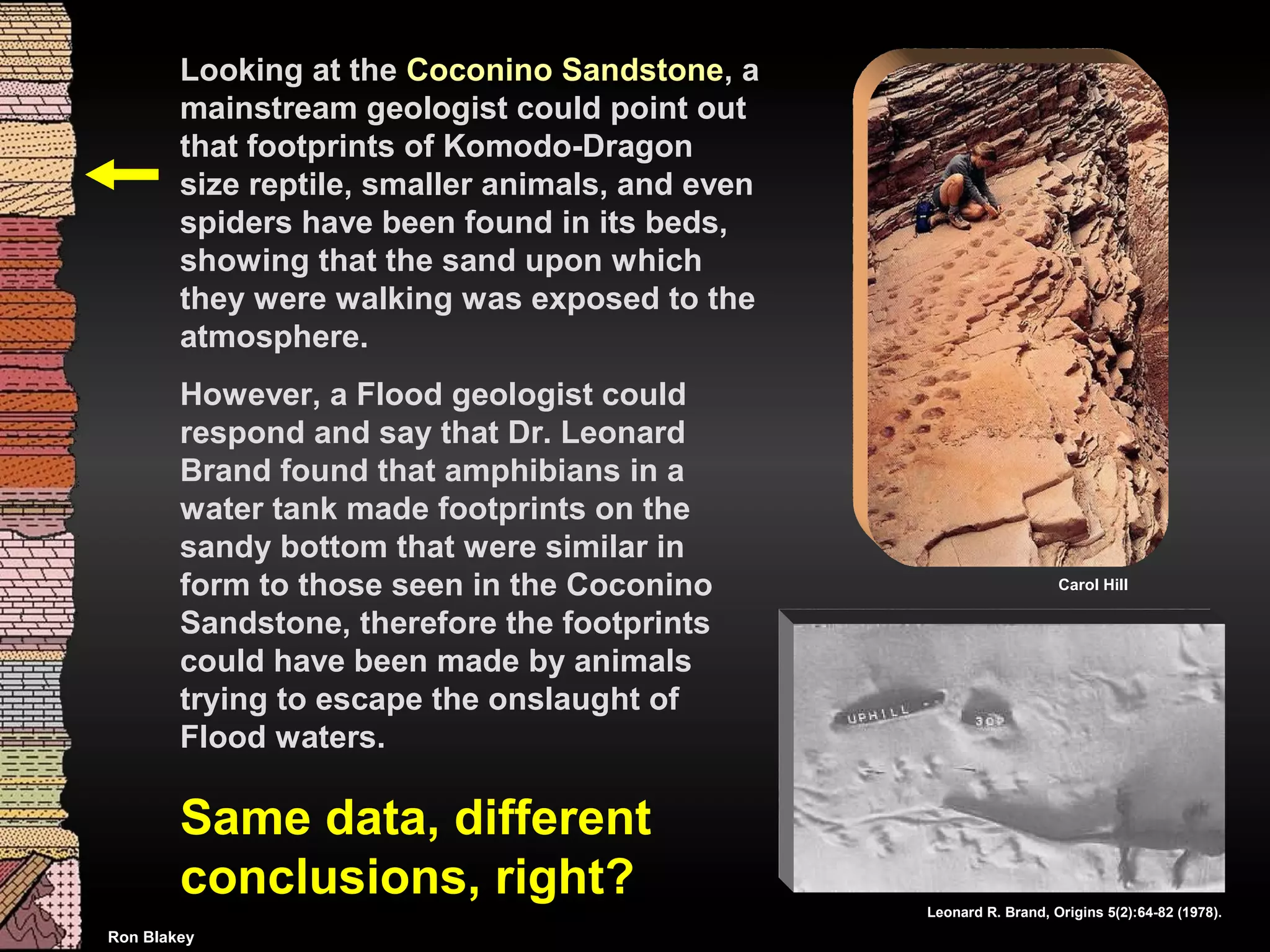 Were Most of Earth's Fossil-Bering Sedimentary Rock Layers Deposited by ...