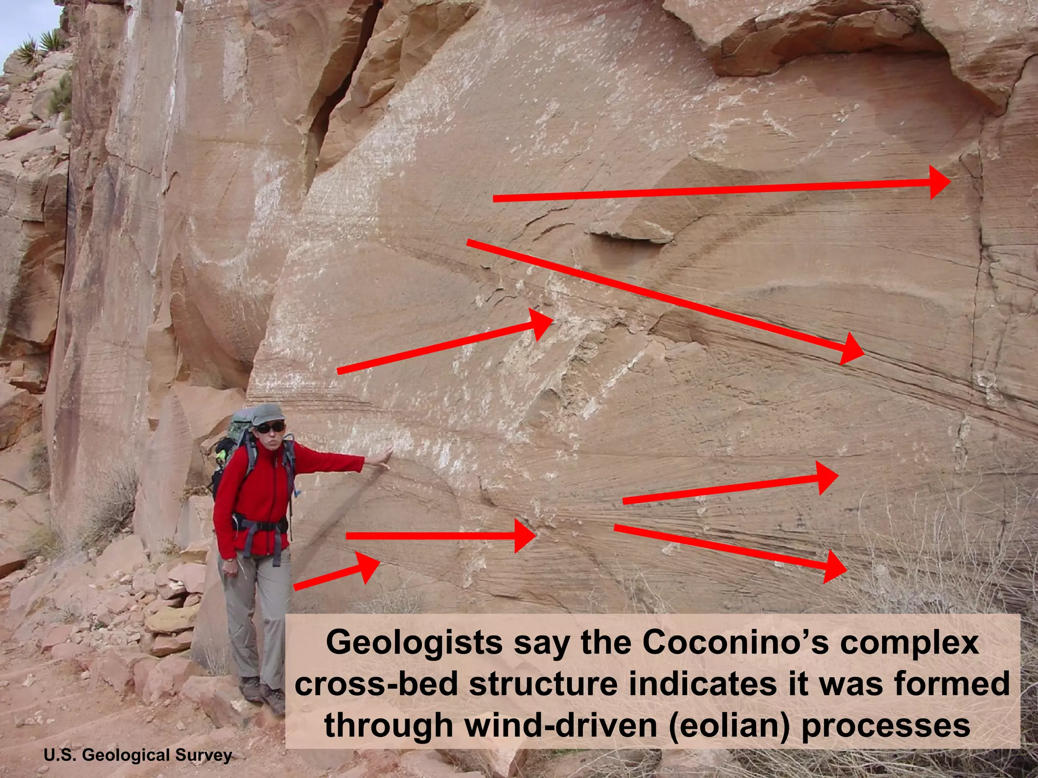 Were Most of Earth's Fossil-Bering Sedimentary Rock Layers Deposited by ...