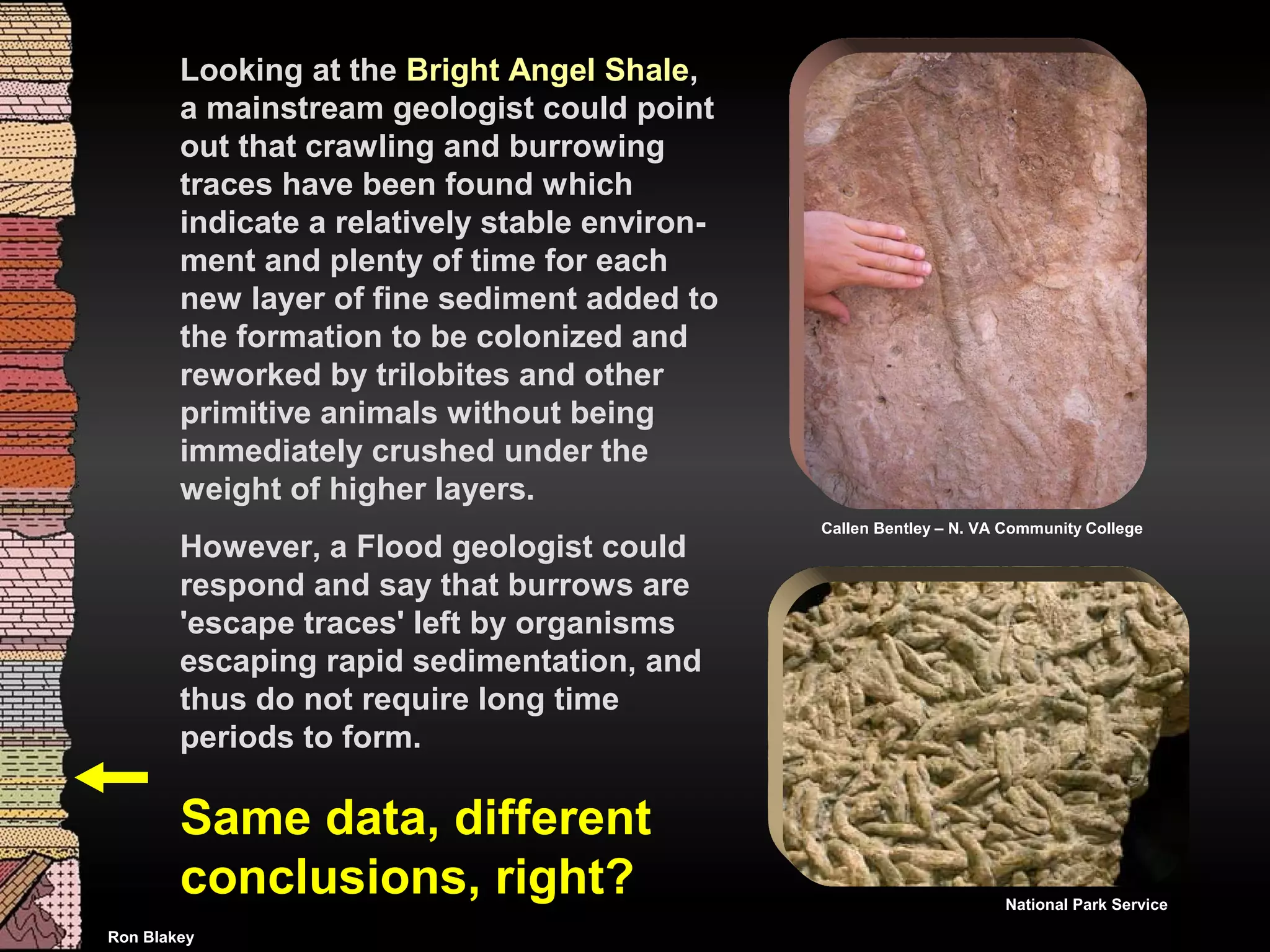 Were Most of Earth's Fossil-Bering Sedimentary Rock Layers Deposited by ...