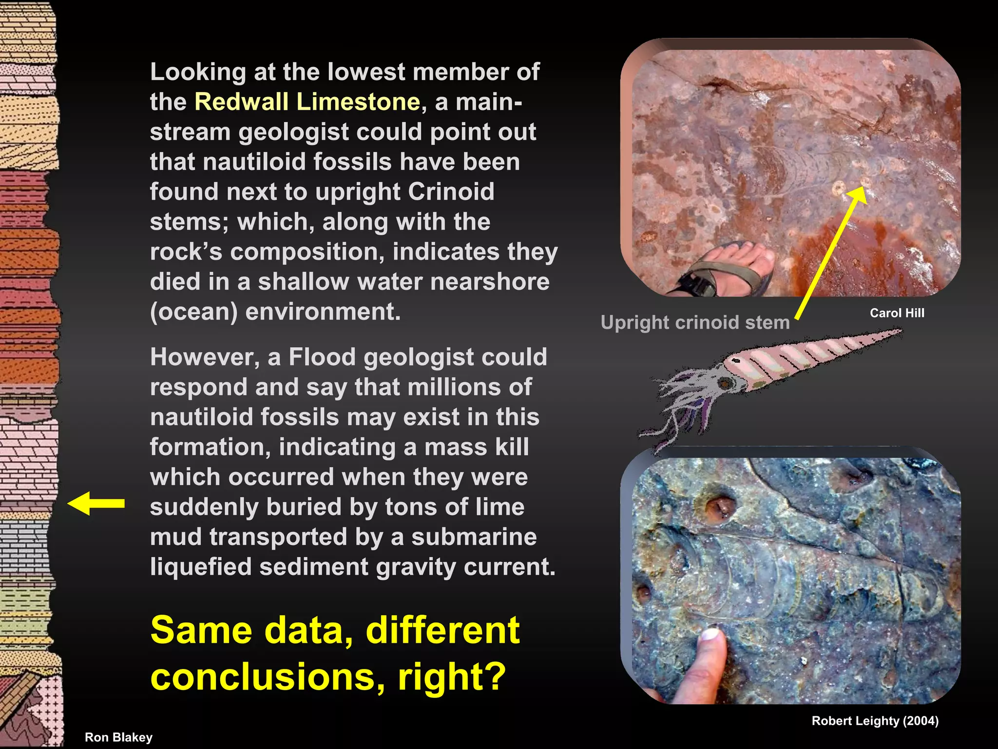 Were Most of Earth's Fossil-Bering Sedimentary Rock Layers Deposited by ...
