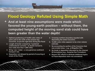 Were Most of Earth's Fossil-Bering Sedimentary Rock Layers Deposited by ...