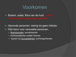 Pseudomonas aeruginosa | PPTX