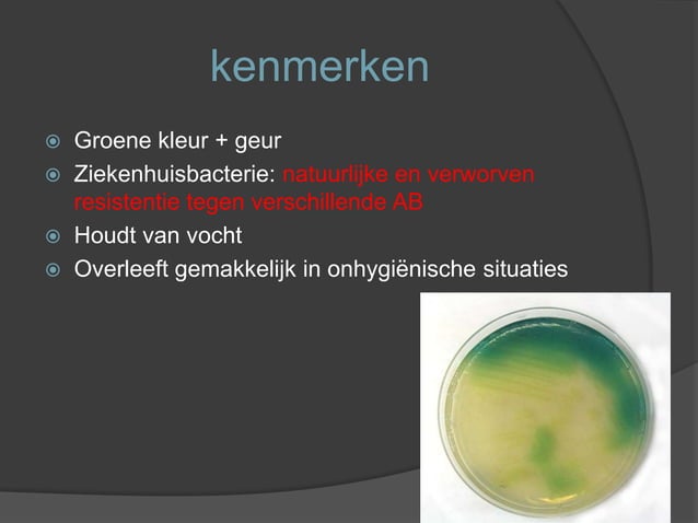 Pseudomonas aeruginosa | PPTX