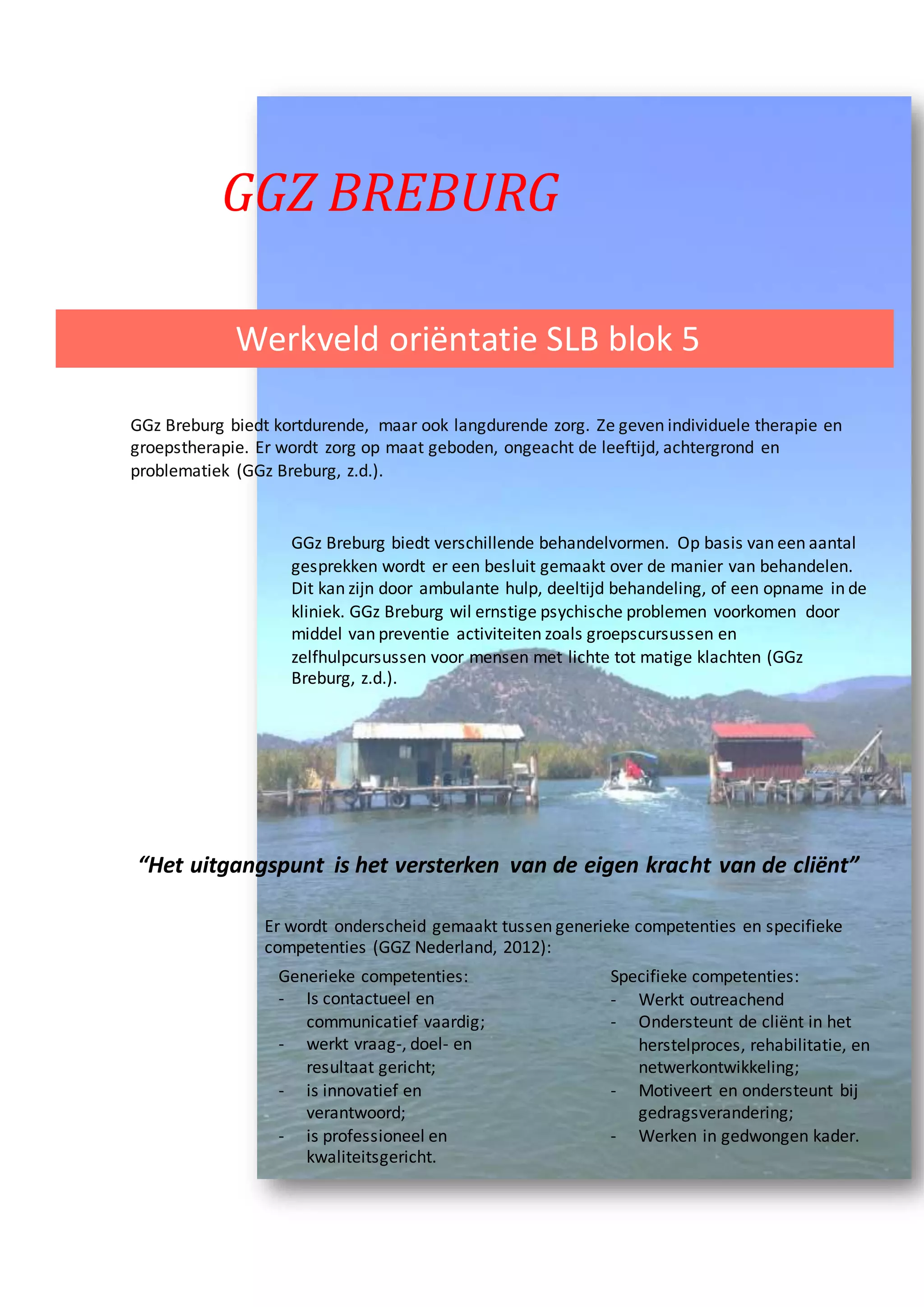 Werkveld oriëntatie GGz Breburg | DOCX