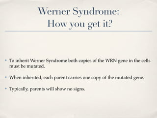 Werner Syndrome