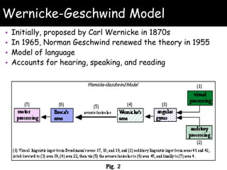 Wernicke’s aphasia | PPTX