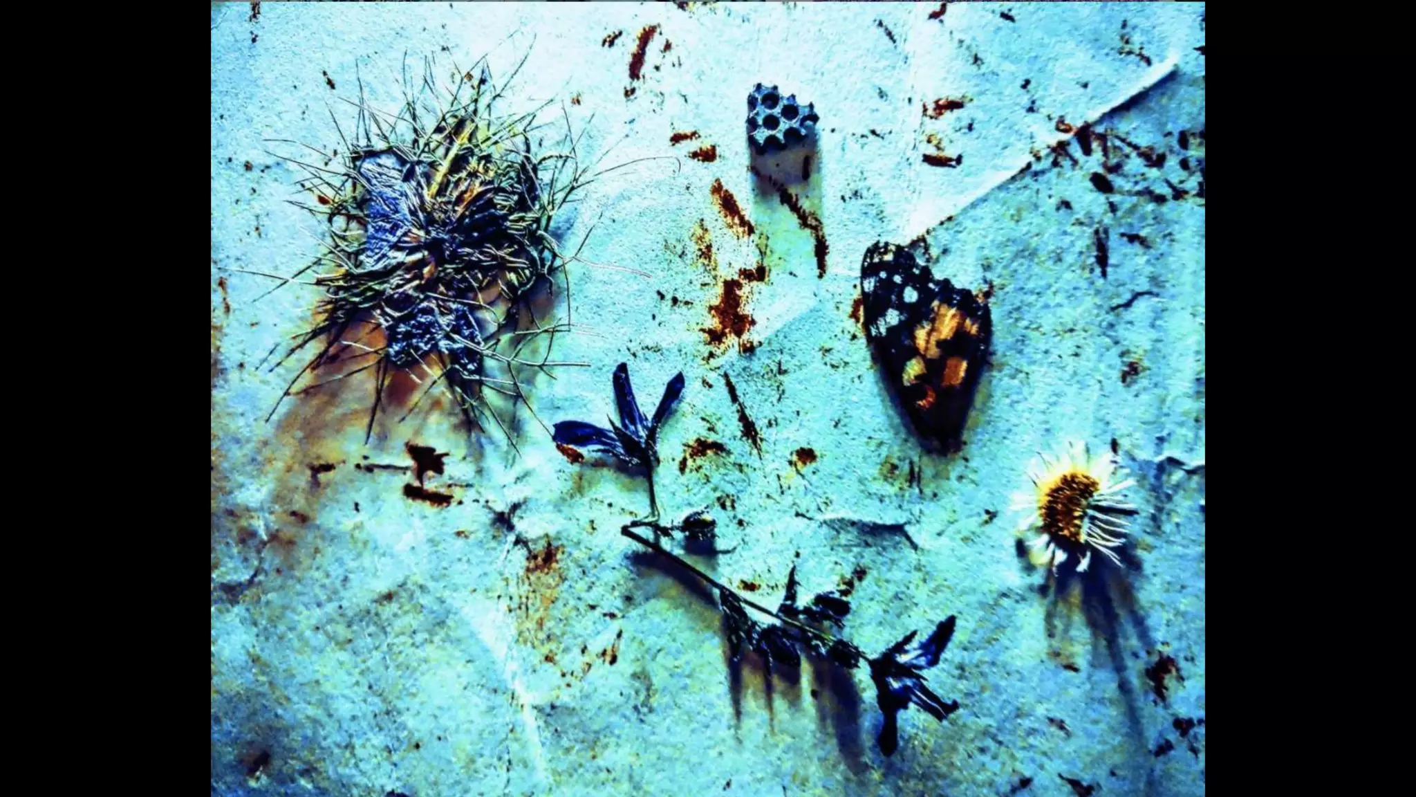 Different ways to measure time | PPTX