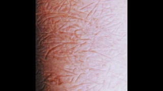 Different ways to measure time | PPTX