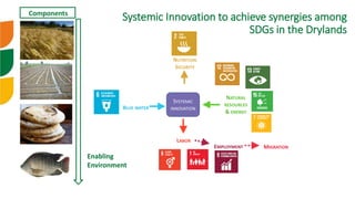 Systemic Innovation to leverage impacts in dryland agri-food systems of ...