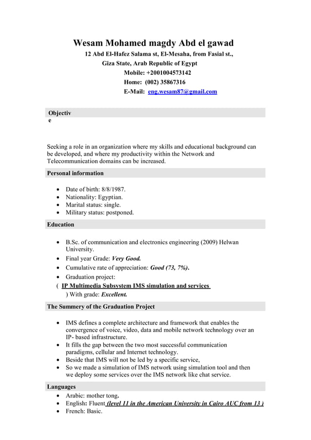 Wesam Mohamed Magdy CV | PDF