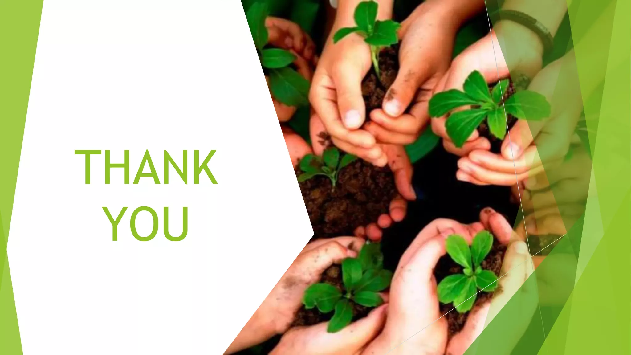 World Environment School, Coorg | PPTX | Education