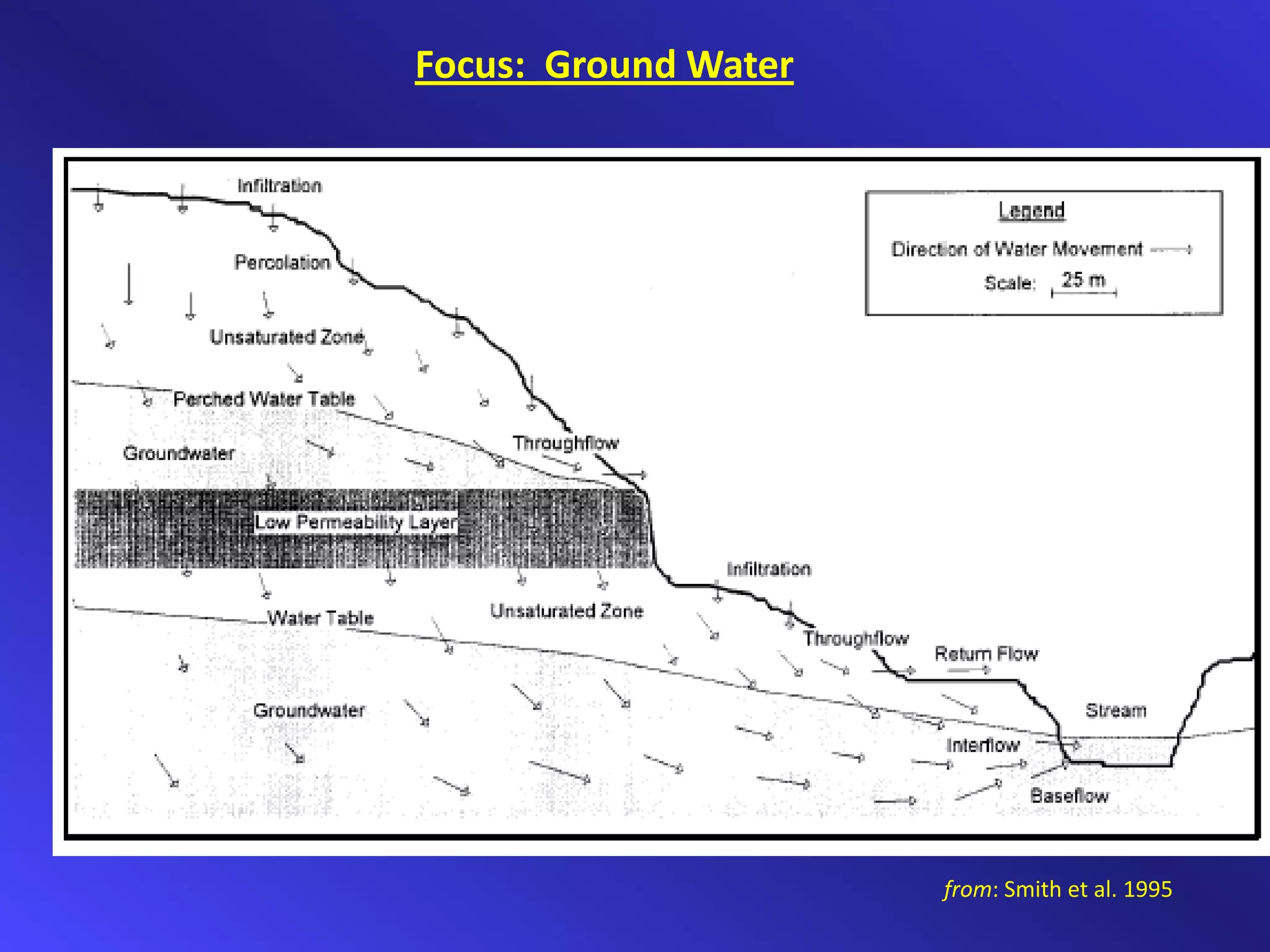 WESPAK-SE: Wetland Functional Assessment by Paul Adamus | PDF