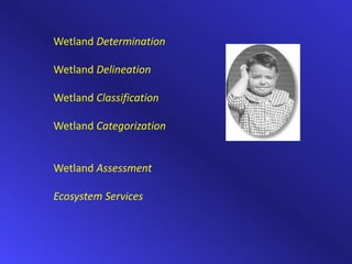 WESPAK-SE: Wetland Functional Assessment by Paul Adamus | PDF