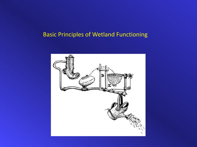 WESPAK-SE: Wetland Functional Assessment by Paul Adamus | PPT