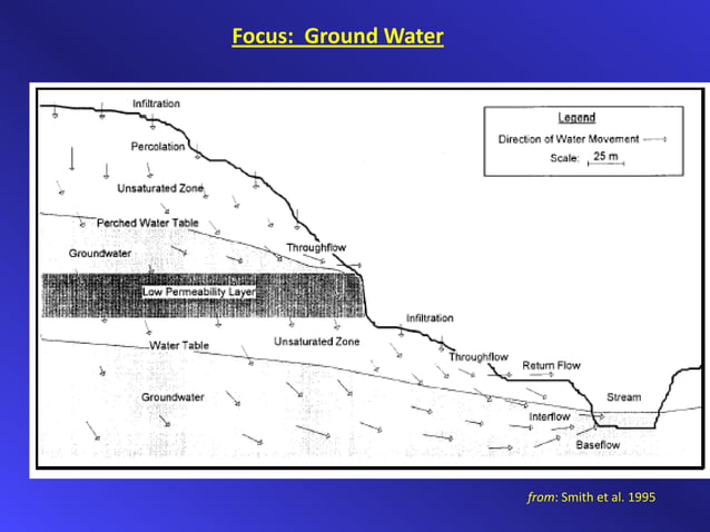 WESPAK-SE: Wetland Functional Assessment by Paul Adamus | PPT