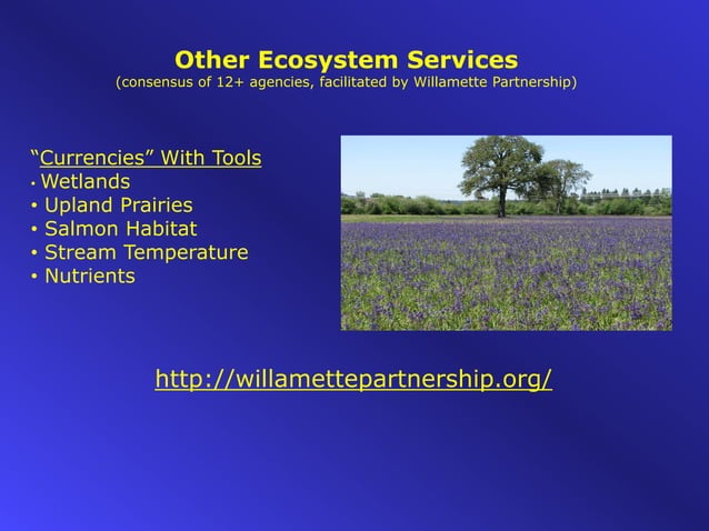 WESPAK-SE: Wetland Functional Assessment by Paul Adamus | PPT