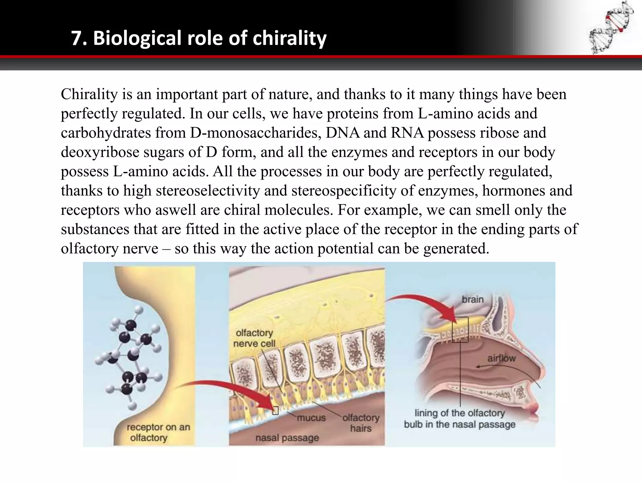 Chirality and its biological role (English language) - www ...