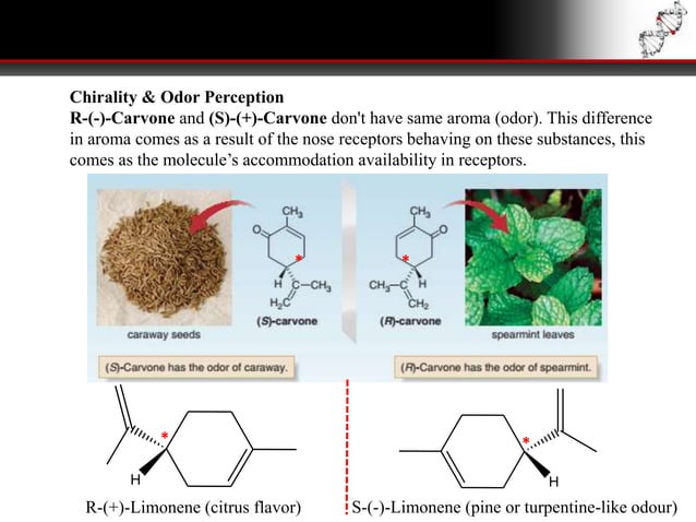 Chirality and its biological role (English language) - www ...