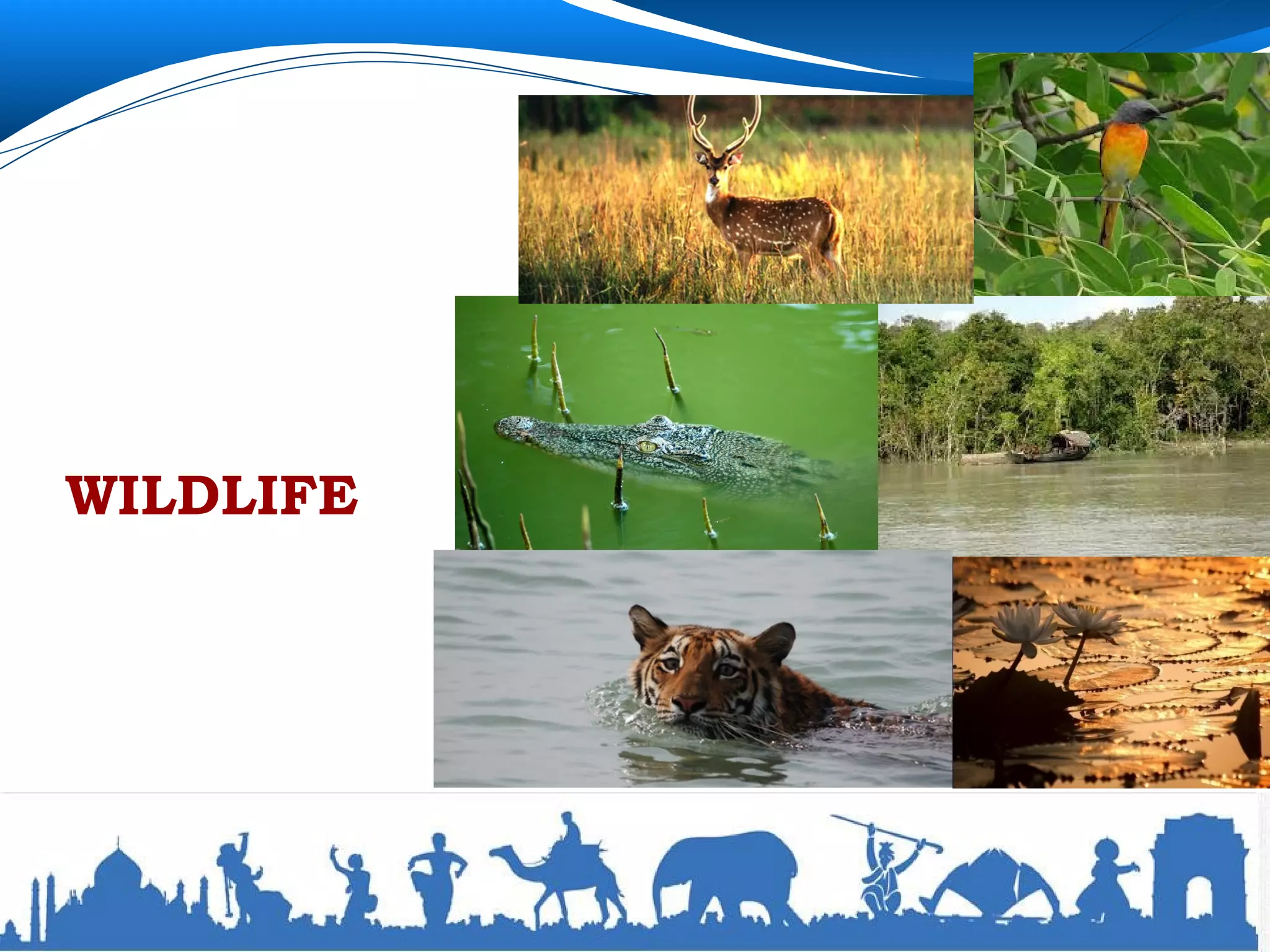 West Bengal Tourism | PPT