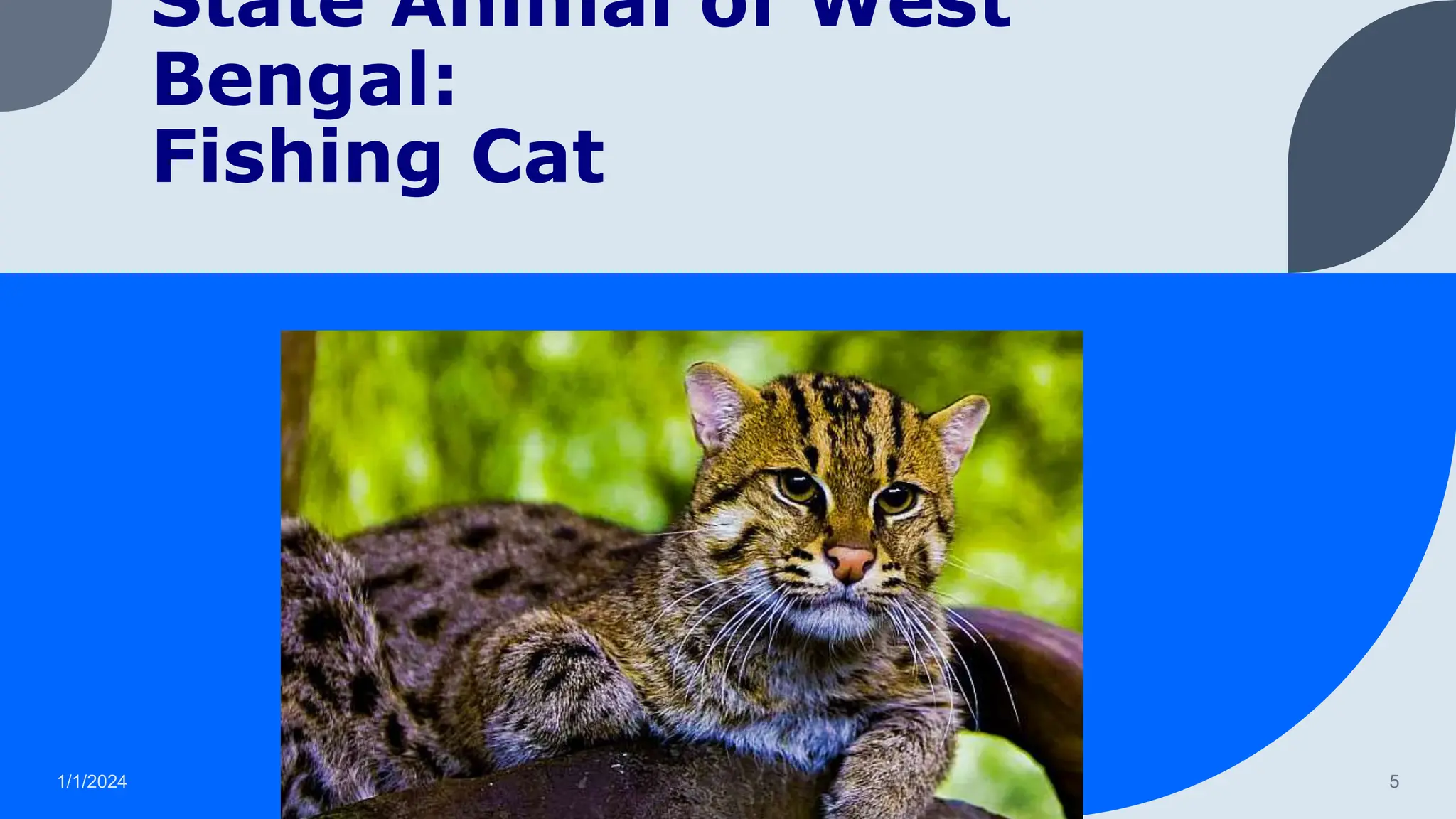 West Bengal State Symbols and Emblem Details | PPTX