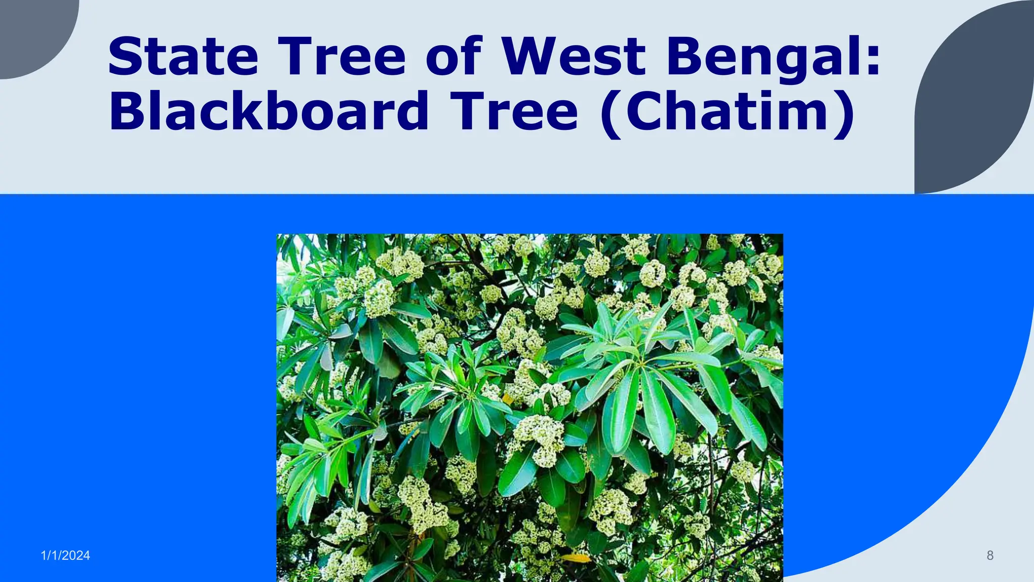 West Bengal State Symbols and Emblem Details | PPTX