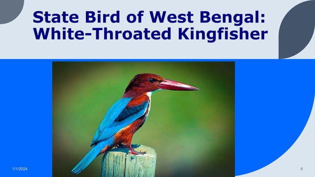 West Bengal State Symbols and Emblem Details | PPTX