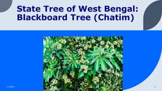 West Bengal State Symbols and Emblem Details | PPTX