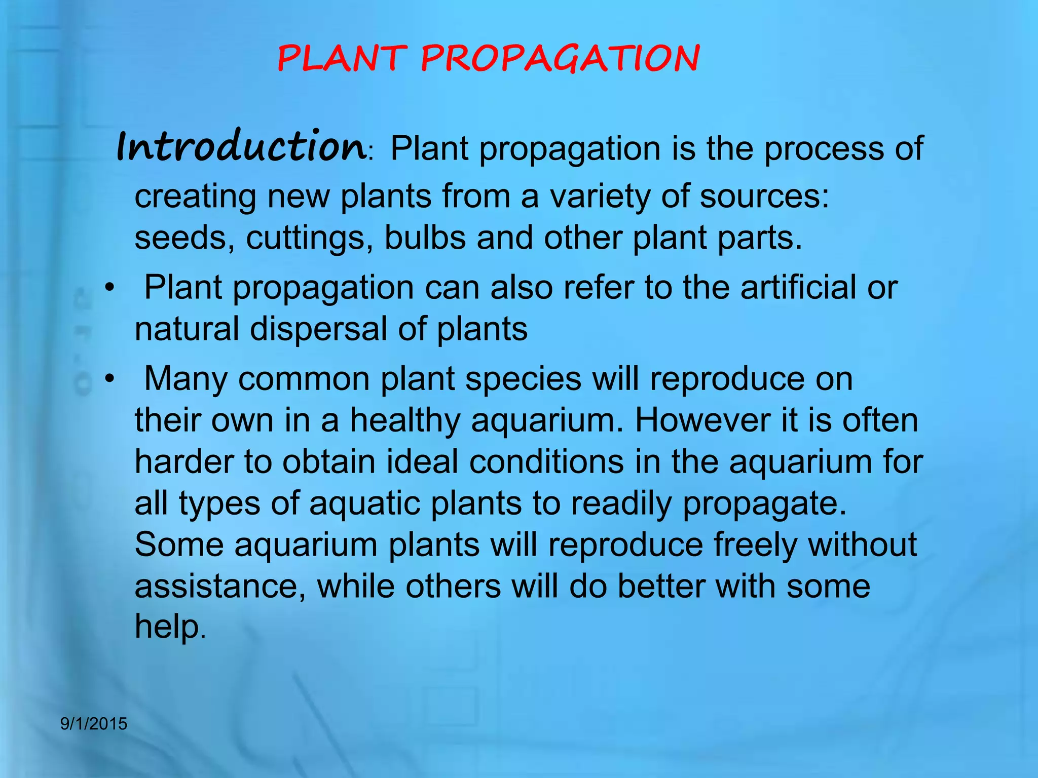aquarium plant utility and propagation | PPTX
