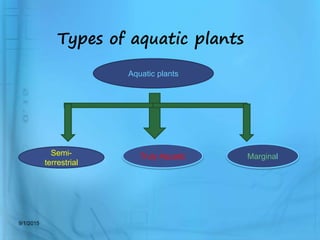 aquarium plant utility and propagation | PPTX