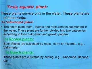 aquarium plant utility and propagation | PPTX