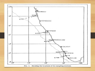 Marine soil deposits _west coast | PPTX