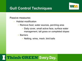 West edmonton landfill gull control program 2008 2009 | PDF