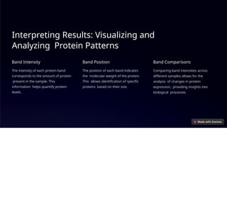 Western-Blotting presentation (2) (1).pptx