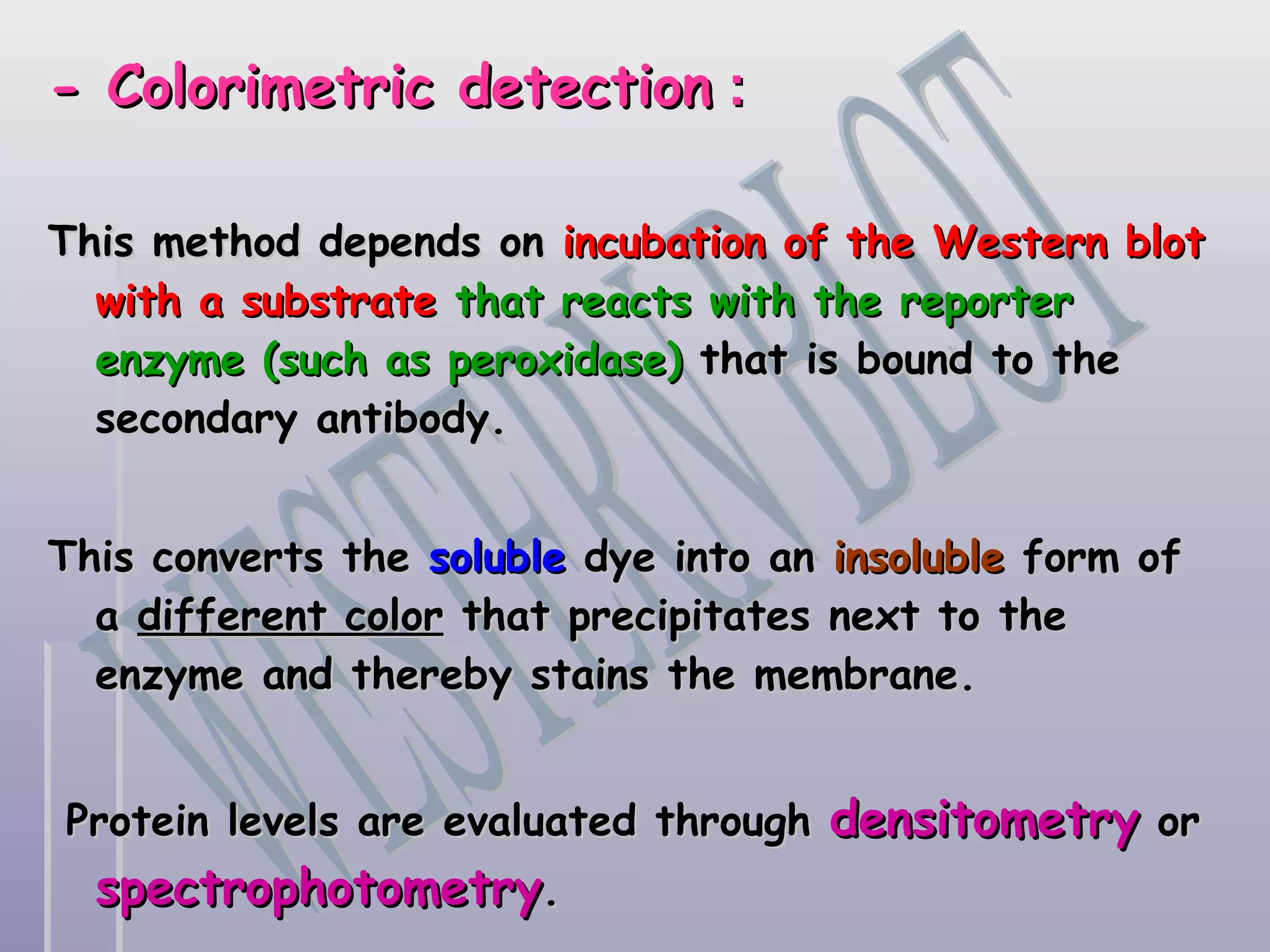 Western Blot | PPT