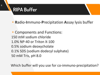 Western Blot | PPTX
