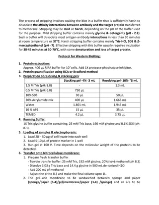 Western blot | PDF