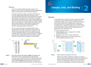 Westernblotbook | PDF