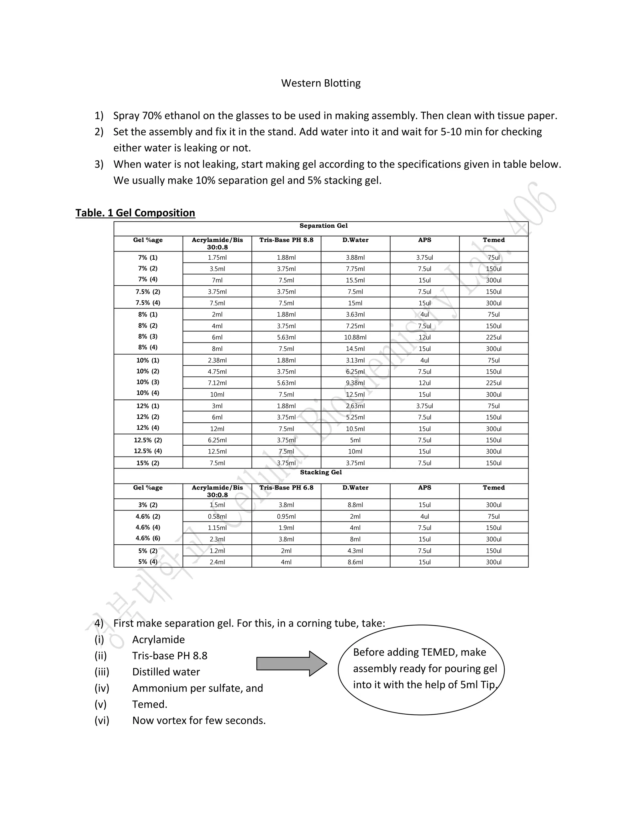 Western blot complete protocol | PDF